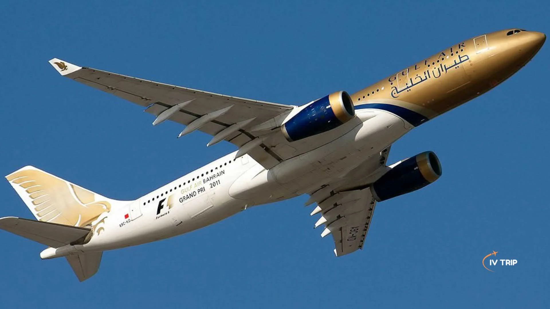 Find all Gulf Airlines info in one place